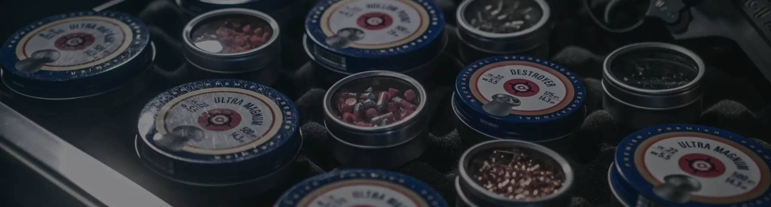 Airgun Ammo I Crosman Pellet Gun Ammo & BB Pellets